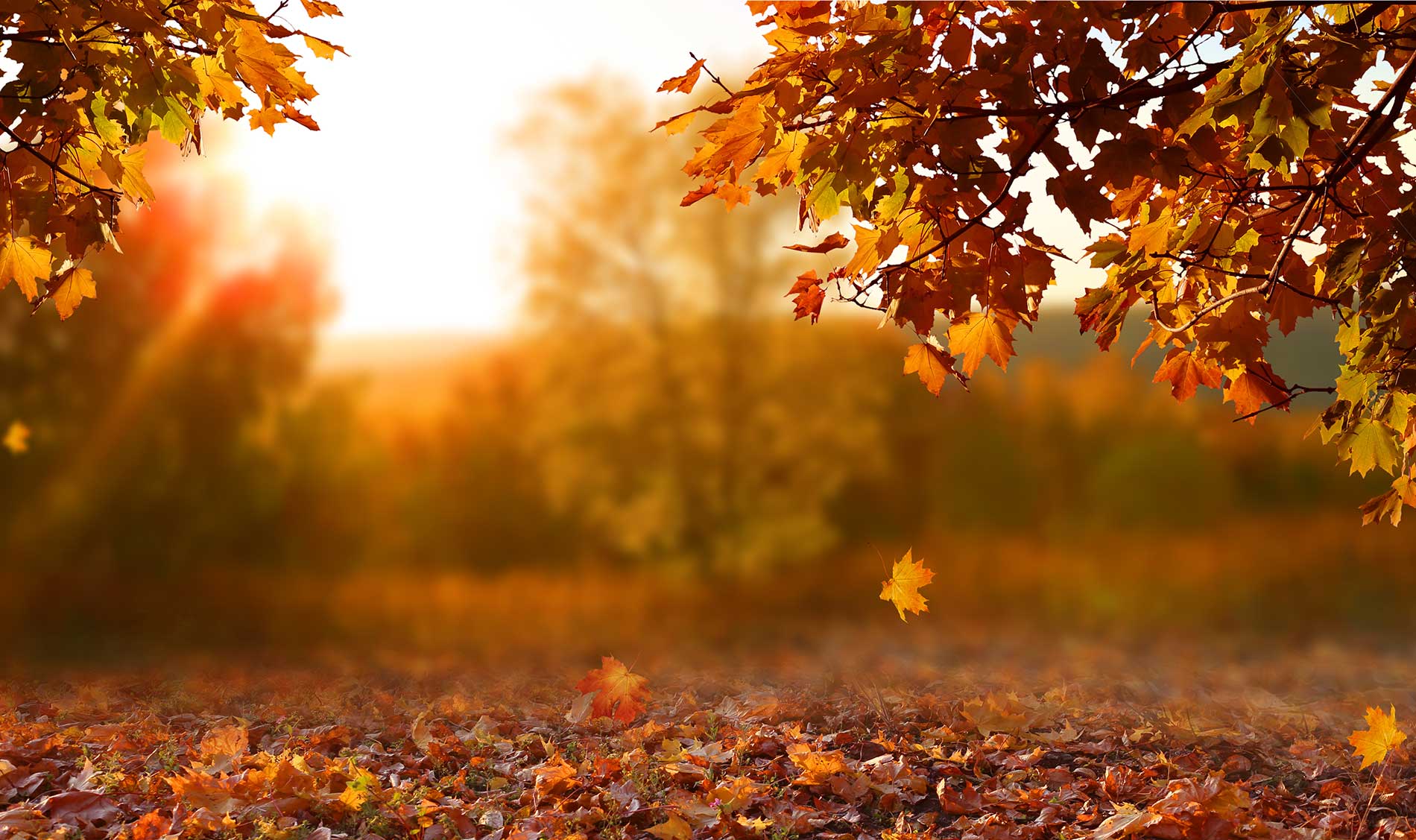 Time for a Fall HVAC Checklist: Ready Your System for Cooler Days - A1 ...
